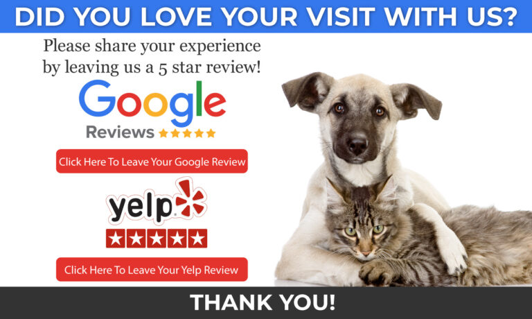 About delivery - Luxury Pet Source